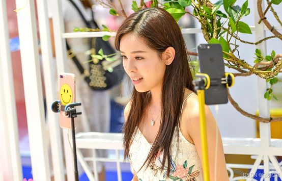 私域流量运营的创新模式：2+1链动模式开源AI智能名片S2B2C商城小程序源码的应用探索_链动2+1 源码-CSDN博客