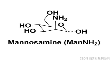cas：14307-02-9，Mannosamine (ManNH2)，D-甘露糖胺-CSDN博客