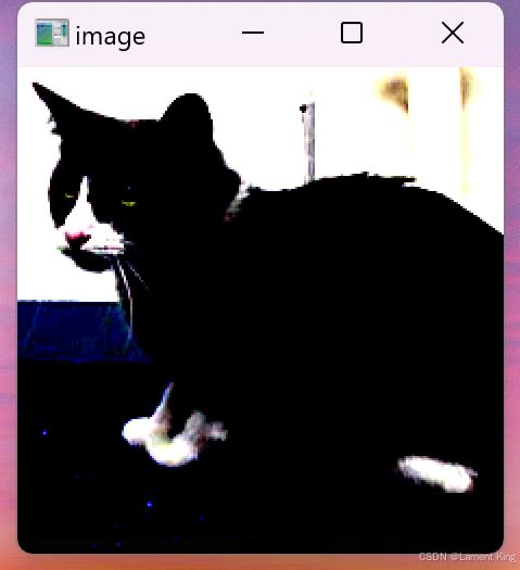 Pytorch入门与实践（七）：onnx文件导出与简单部署pytorch Onnx Csdn博客