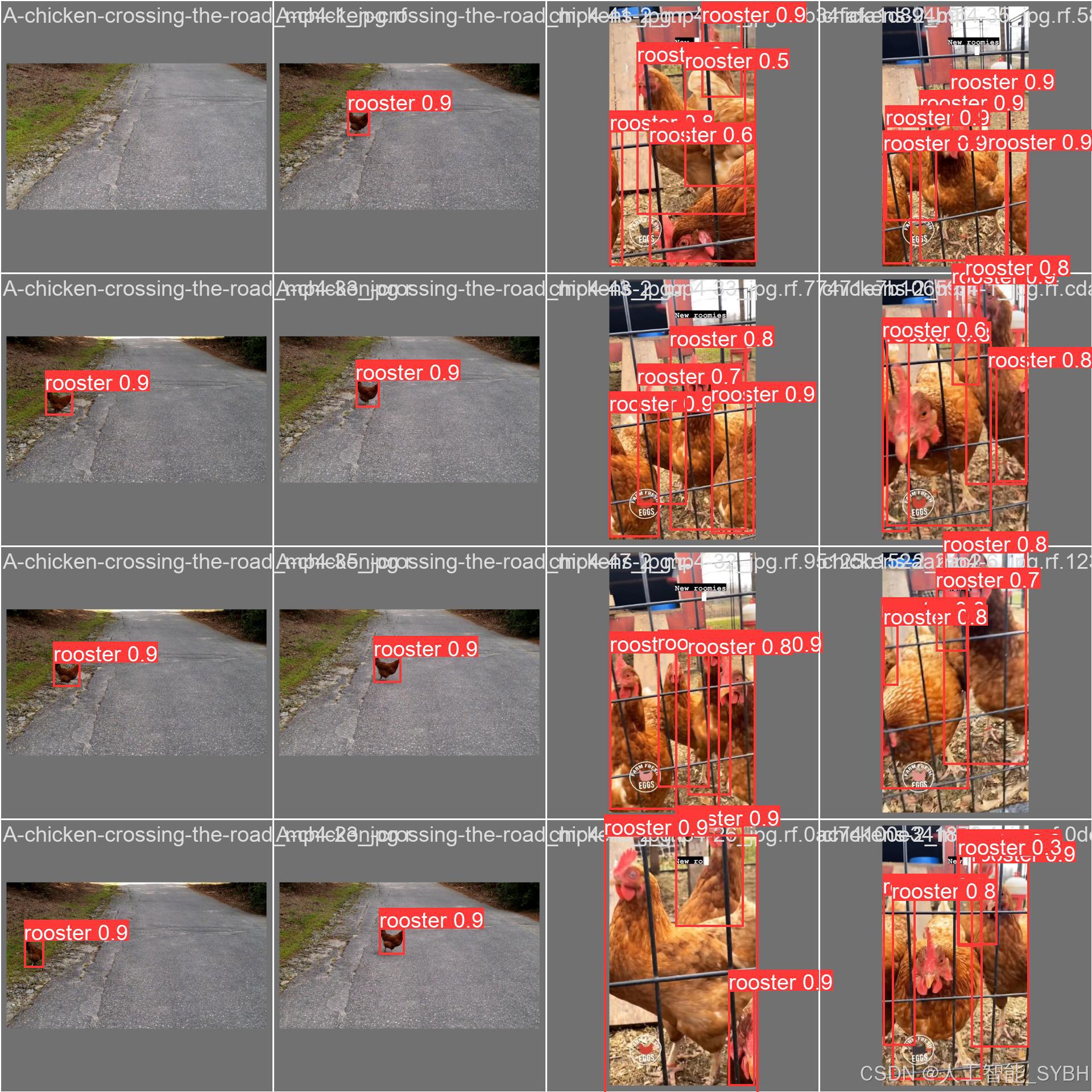 YOLOv5鸡检测和跟踪系统，YOLOv5鸡检测，YOLOv5训练自己的鸡数据集_图像识别每只鸡-CSDN博客