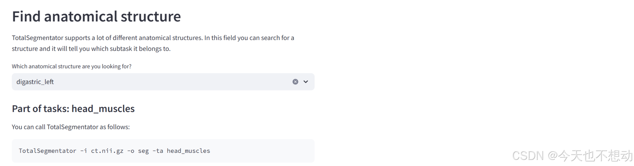 Python版：TotalSegmentator 安装与使用指南-CSDN博客