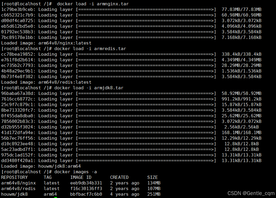 麒麟系统（arm64/aarch64）使用docker离线部署jdk1.8， nginx，redis，以及java项目_docker arm jdk-CSDN博客