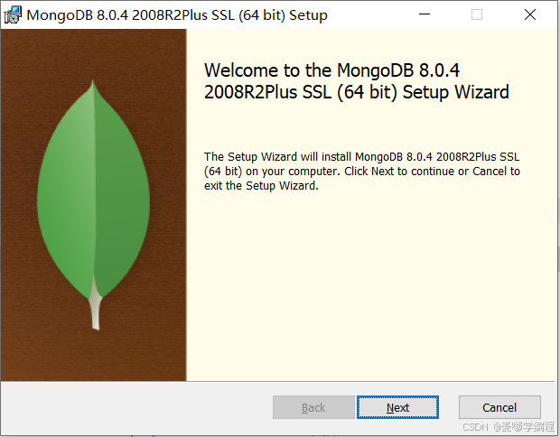 MongoDB8.0安装步骤_mongodb 安装-CSDN博客