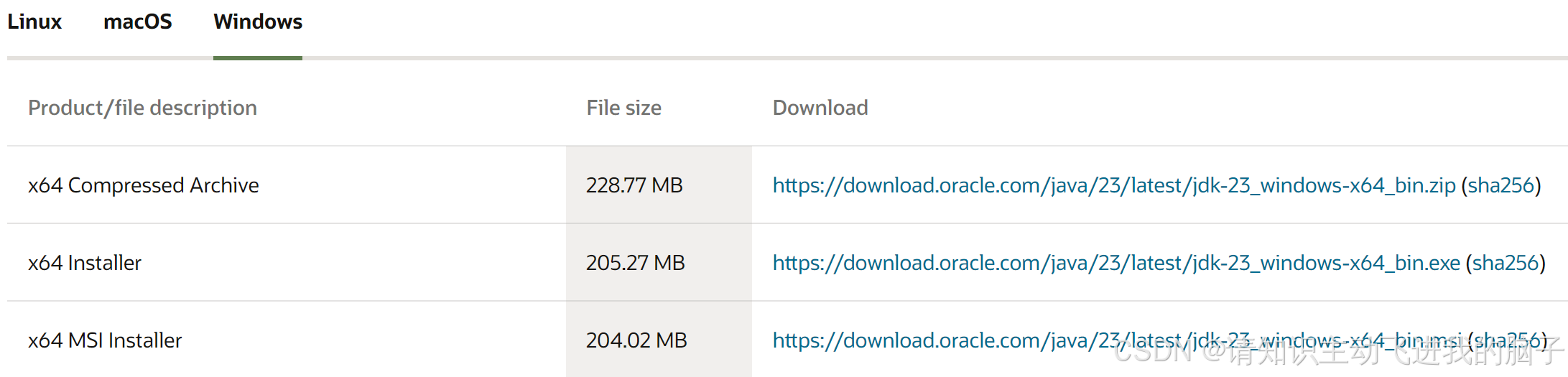 Windows中配置VS Code以运行Java_vscode 运行java-CSDN博客