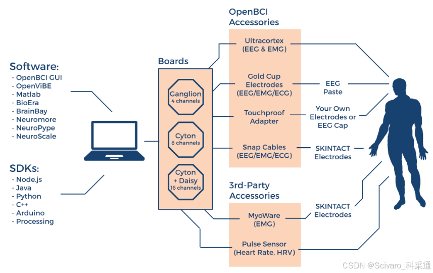 基于 OpenBCI 和 OpenViBE 实现 P300 脑电输入法（中文实战教程）_openvibe openbci-CSDN博客