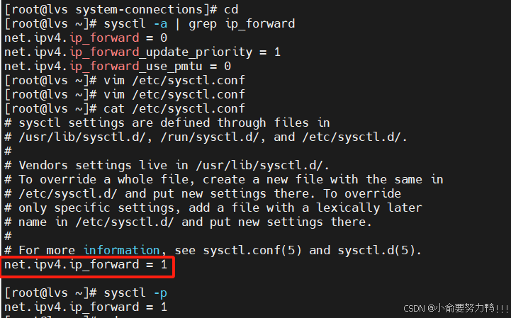 LVS（Linux Virtual Server）_lvs官网-CSDN博客