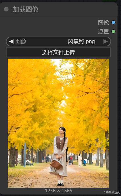 ComfyUI 进阶：Inpaint 手动移除人物全攻略，让画面干净如_comfyui inpaint-CSDN博客