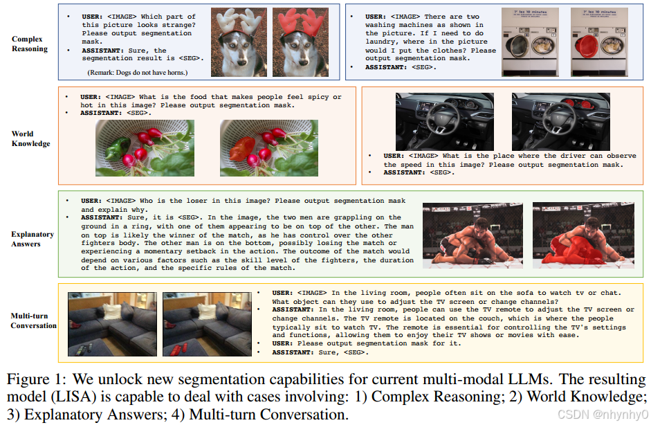 《LISA: REASONING SEGMENTATION VIA LARGE LANGUAGE MODEL》学习记录-CSDN博客
