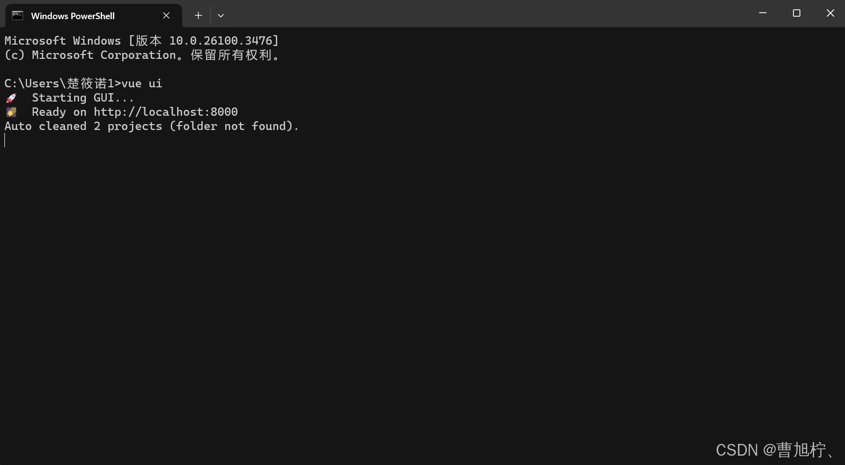 Vue 和 Nodejs 安装使用指南vue Node 安装 Csdn博客