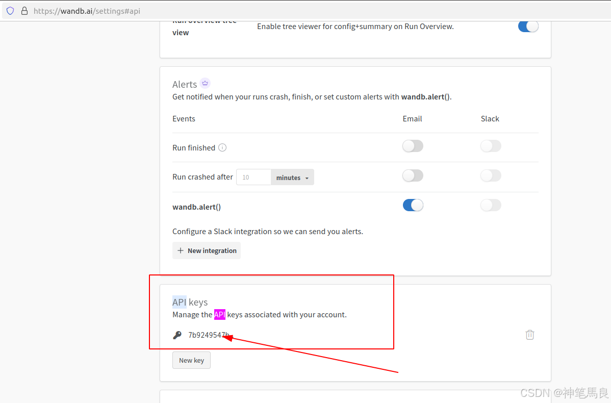 wandb: Enter your choice:-CSDN博客