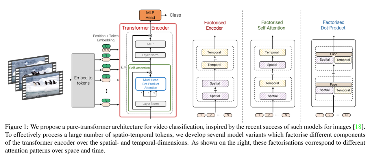 ViViT: A Video Vision Transformer -- ICCV2021 视频transformer方法解读_video transformer-CSDN博客