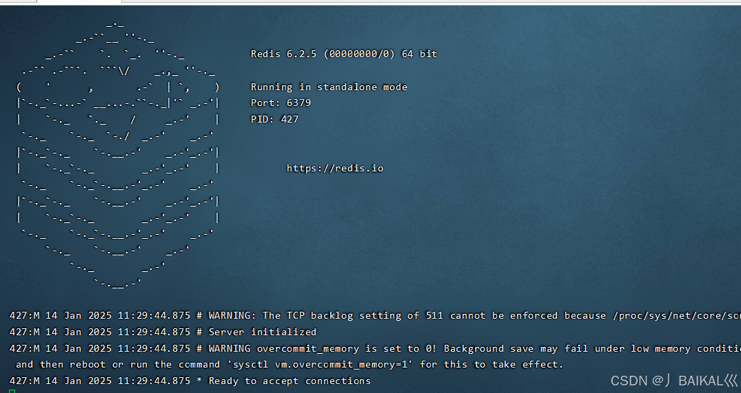 Linux安装redis_redis-6.2.5.tar.gz-CSDN博客