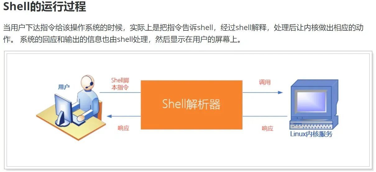 Bash&Shell基本知识_bash shell-CSDN博客