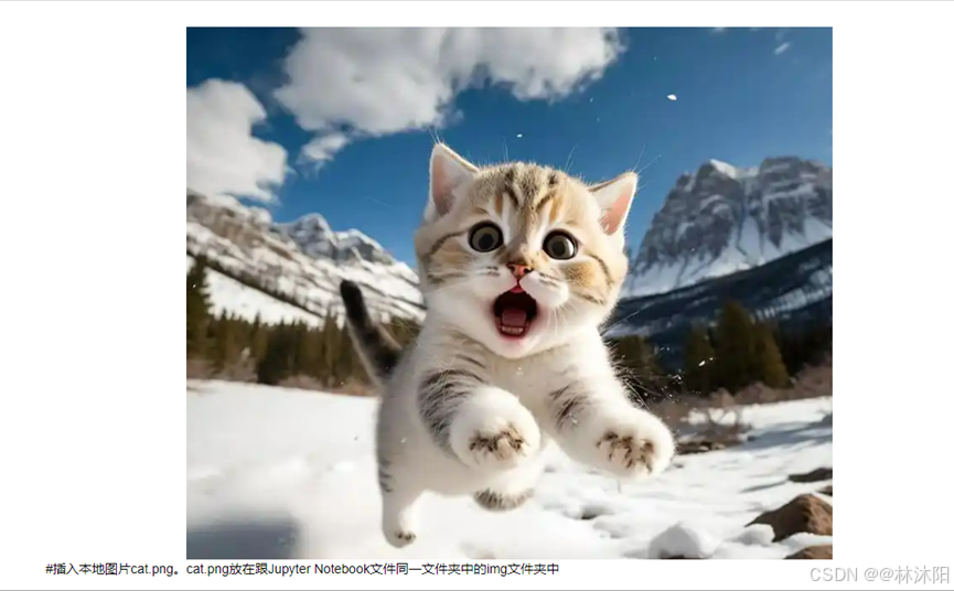Opencv零基础入门（1）：jupyter Notebook在markdown模式下插入图片jupyter Notebook Markdown 插入图像 Csdn博客