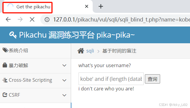 Pikachu靶场详细教程_皮卡丘靶场-CSDN博客
