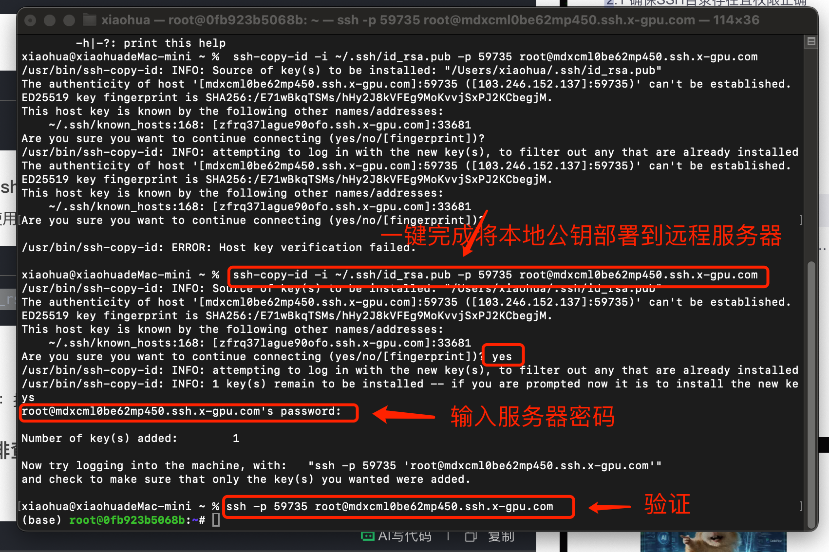 使用SSH密钥实现免密登录远程服务器-CSDN博客