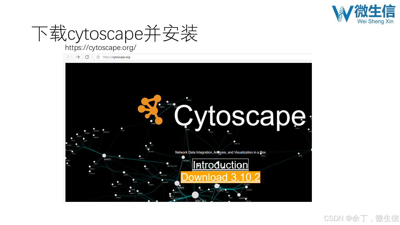 生信入门第十二课：用Cytoscape绘制PPI网络图并使用cytohubba识别hub基因_ppi cytoscape hub gene ...