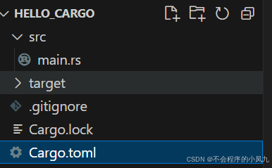 Cargo初认识_vscode cargo-CSDN博客