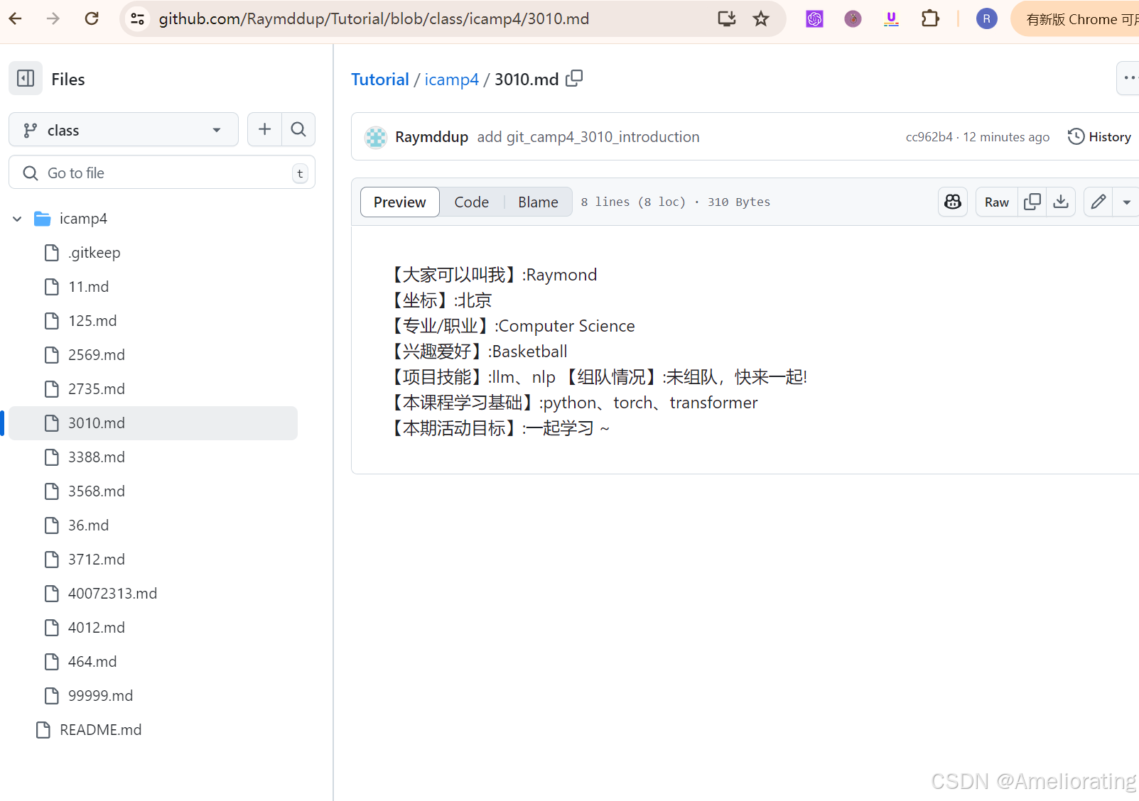 书生大模型实战营L0G3000-Git前置基础-CSDN博客