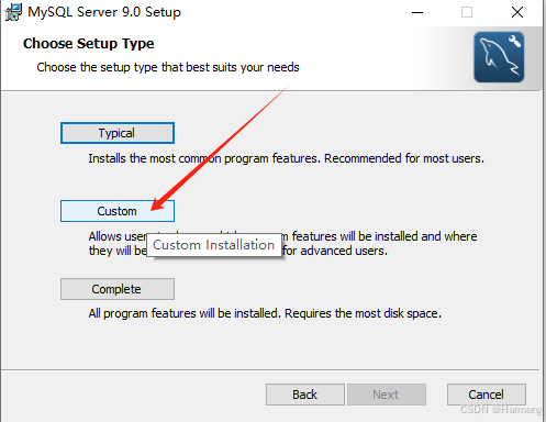 MySQL在Windows中安装与配置（9.0版详细教程）_mysql9.0安装教程详细步骤-CSDN博客