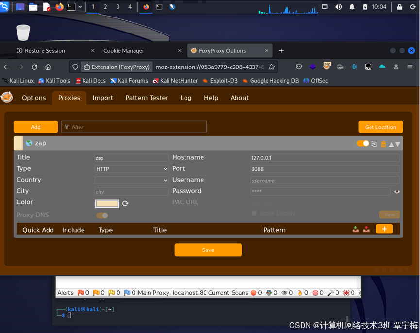 在Linux中使用ZAP寻找敏感文件和目录_zaproxy使用-CSDN博客