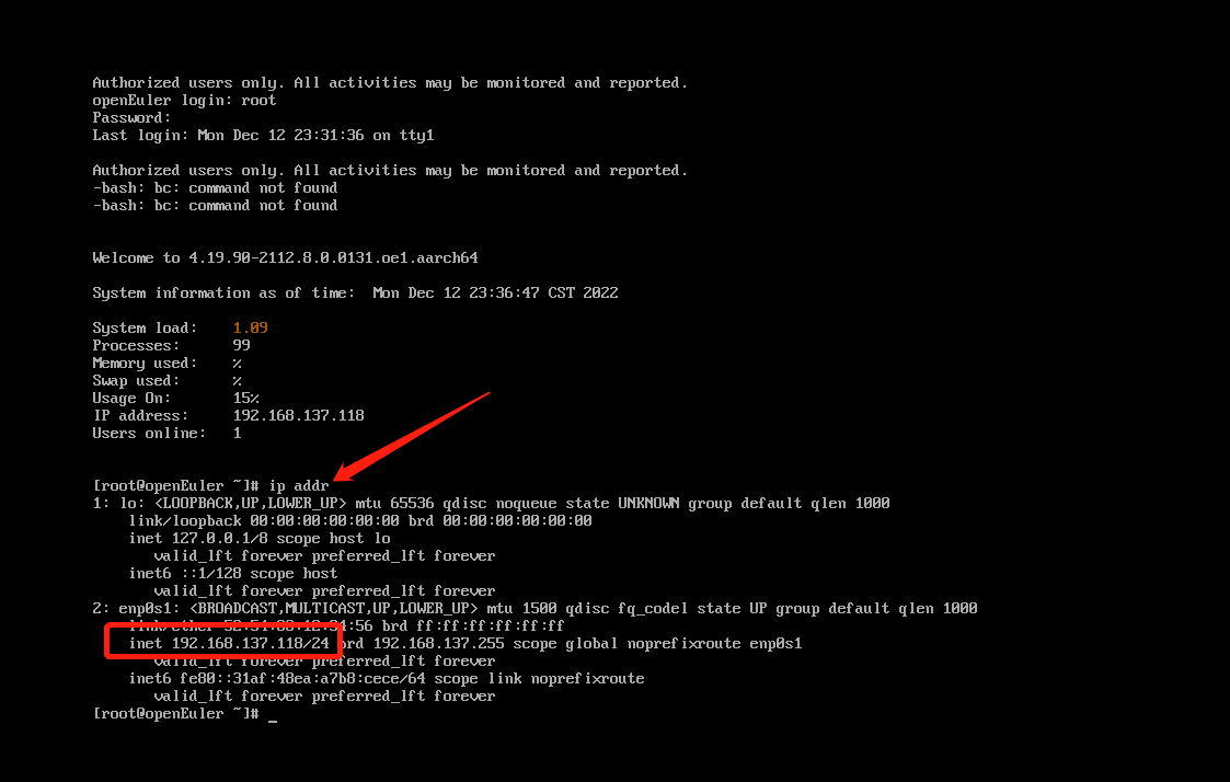 Windows11 上使用 QEMU 创建 aarch64（ARM64）虚拟机_win11安装arm虚拟机-CSDN博客