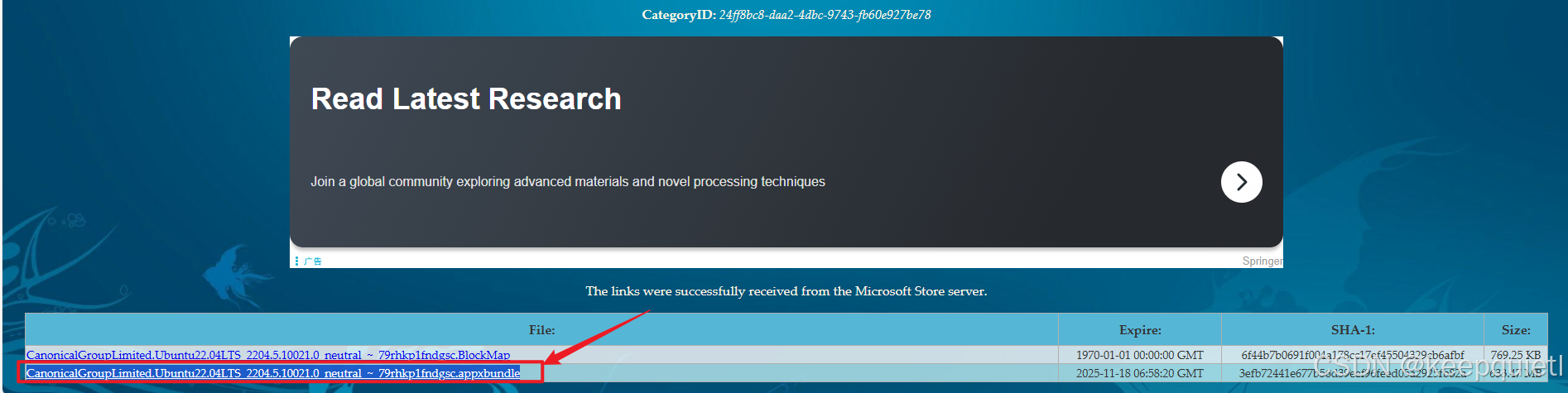 windows安装wsl2_wsl2安装-CSDN博客