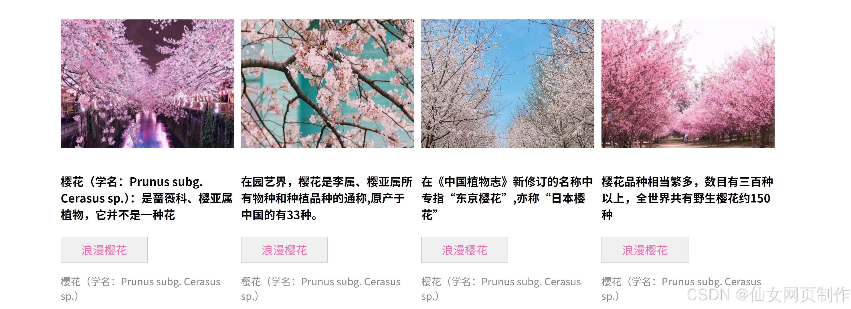 254. 大学生HTML5期末大作业 ―【粉红色浪漫樱花网页(1页)】 Web前端网页制作 html5+css3-CSDN博客