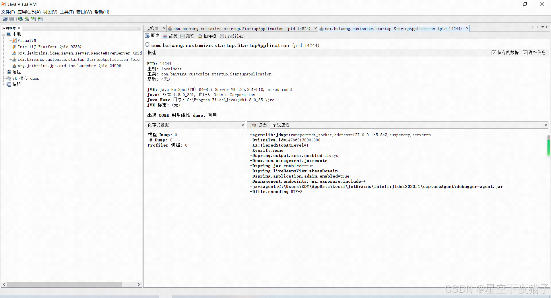 IDEA 中使用 JvisualVM 监控程序运行情况_idea visualvm-CSDN博客