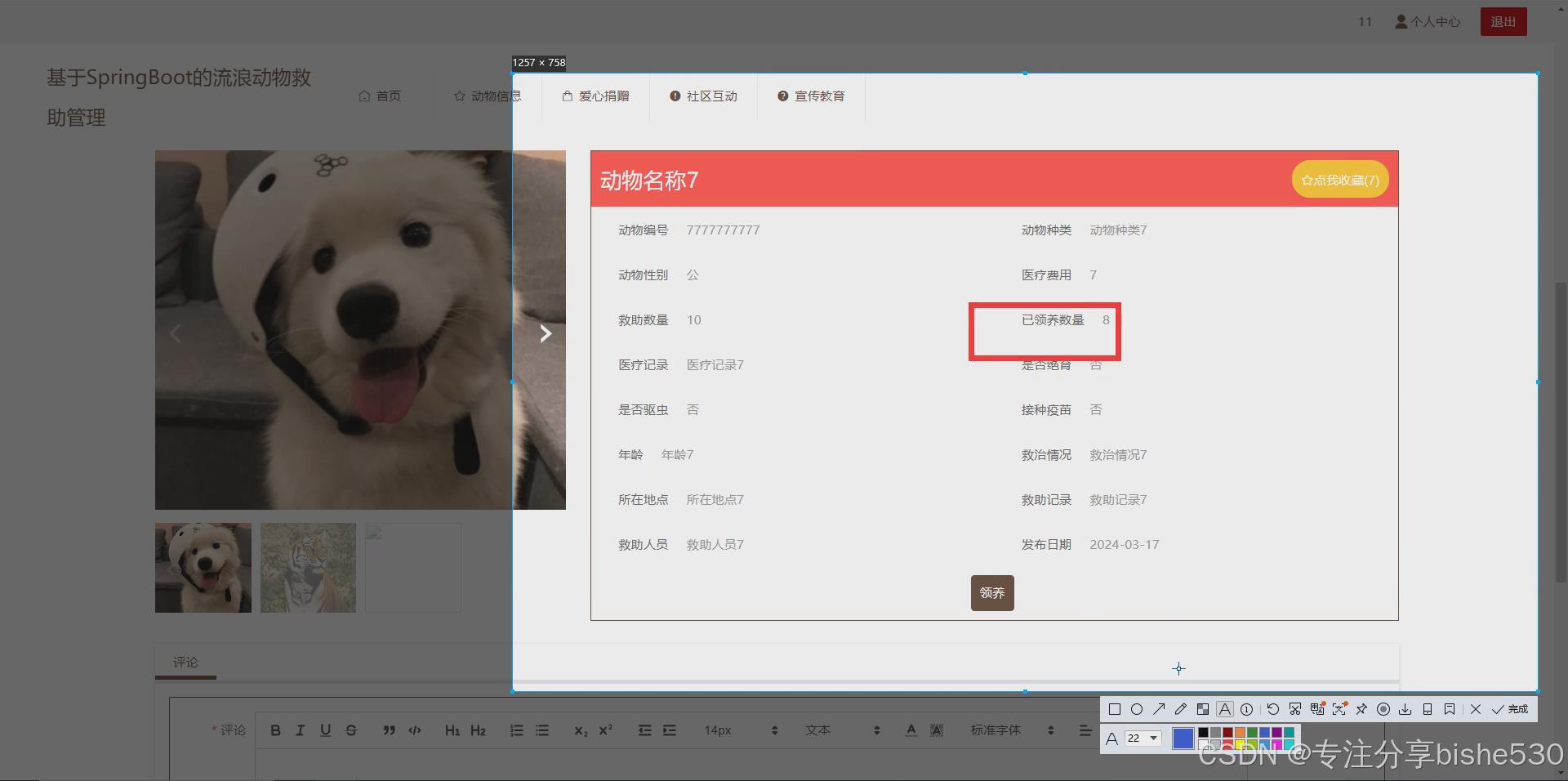 基于vue的流浪动物救助志愿者管理系统_bmb4r260_springboot php python nodejs-CSDN博客