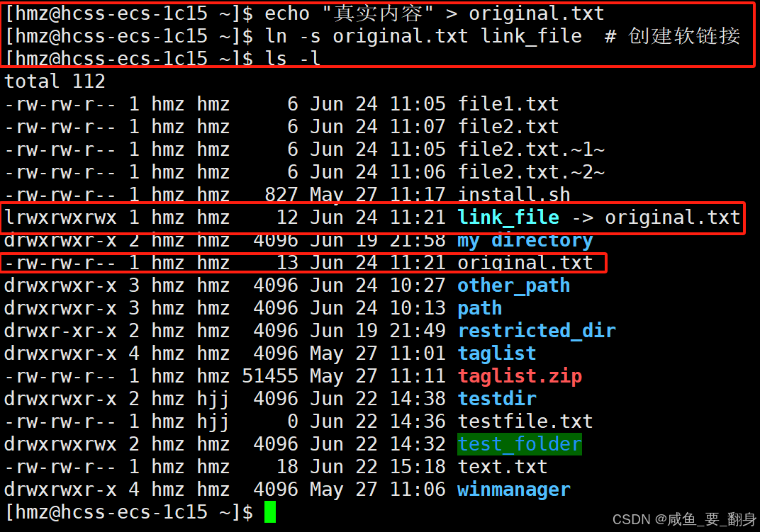 Linux基本命令篇 —— cp命令_linux cp-CSDN博客