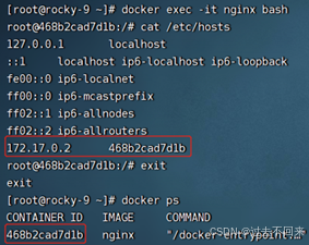 Docker容器化技术——超全了解Docker容器及安装部署_容器docker-CSDN博客