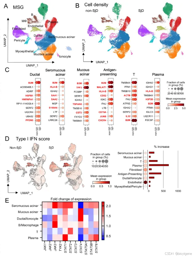IF=20.3|scRNA-Seq&Bulk RNA-Seq＆蛋白质组学助力干燥综合征治疗策略的研究_干燥综合征ess小鼠转录组学 蛋白质组 英文-CSDN博客