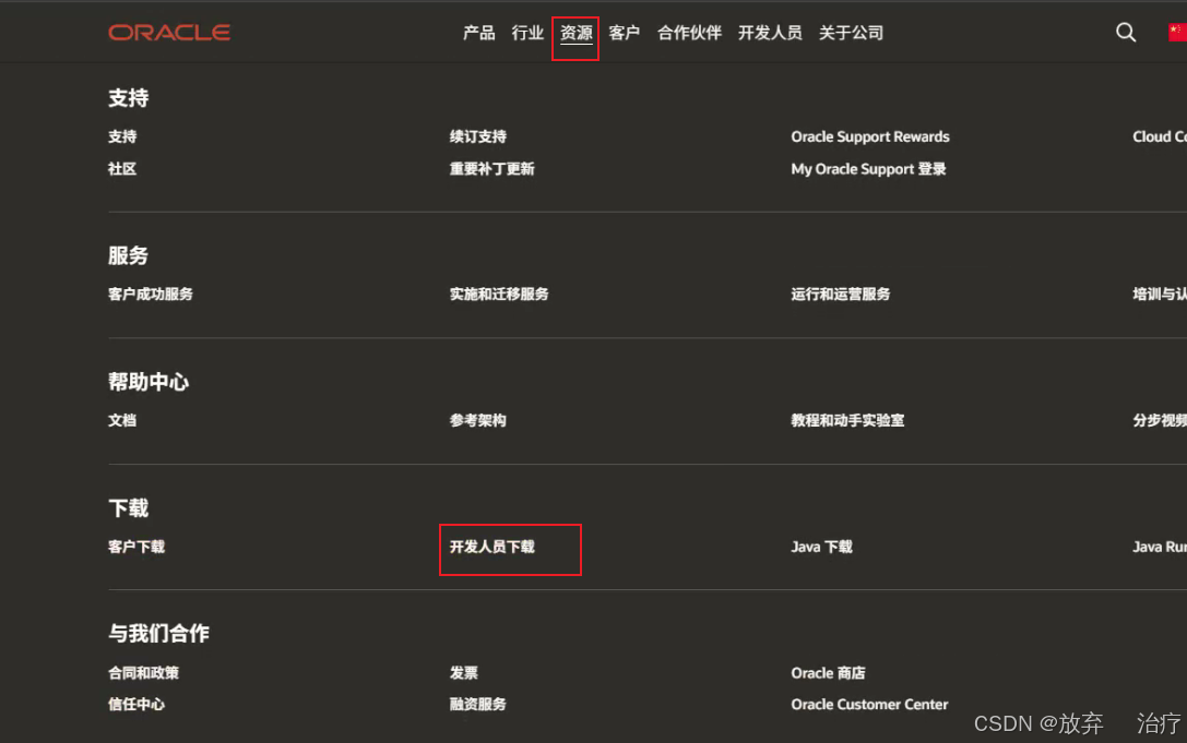Windows 11环境下的（最新版本）Oracle数据库安装与配置详解_适配windows11的oracle-CSDN博客