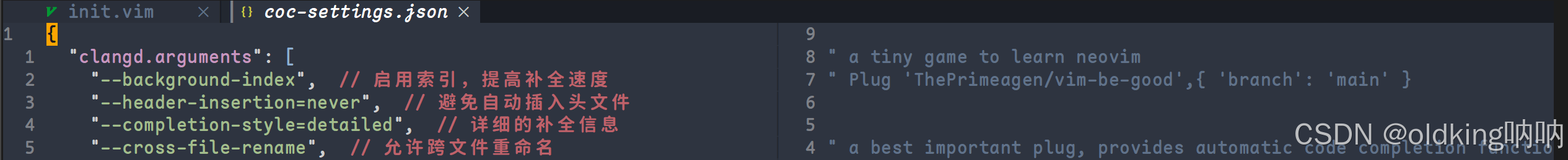 neovim快速配置与食用方法_neovim配置-CSDN博客