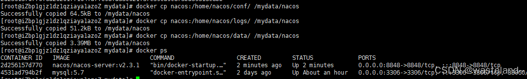 Nacos：Nacos和MySQL在Docker上超详细的安装与部署步骤_docker nacos mysql-CSDN博客