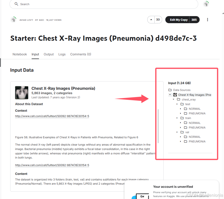 【Kaggle】调用Kaggle的API来下载Kaggle的公开数据集_kaggle数据集-CSDN博客