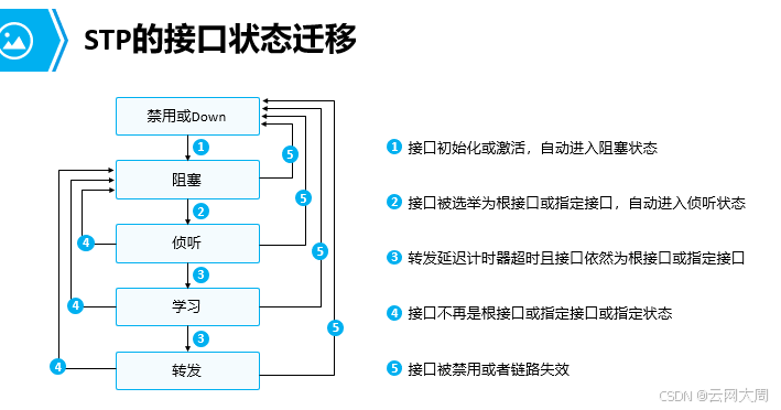 STP详解_stp数据帧-CSDN博客