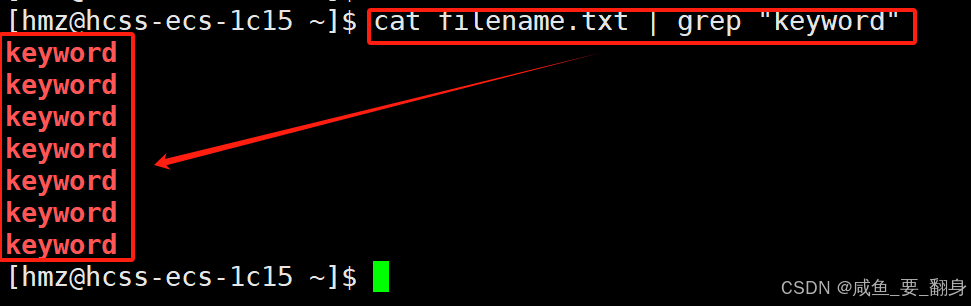 Linux基本命令篇 —— cat命令_linux cat-CSDN博客