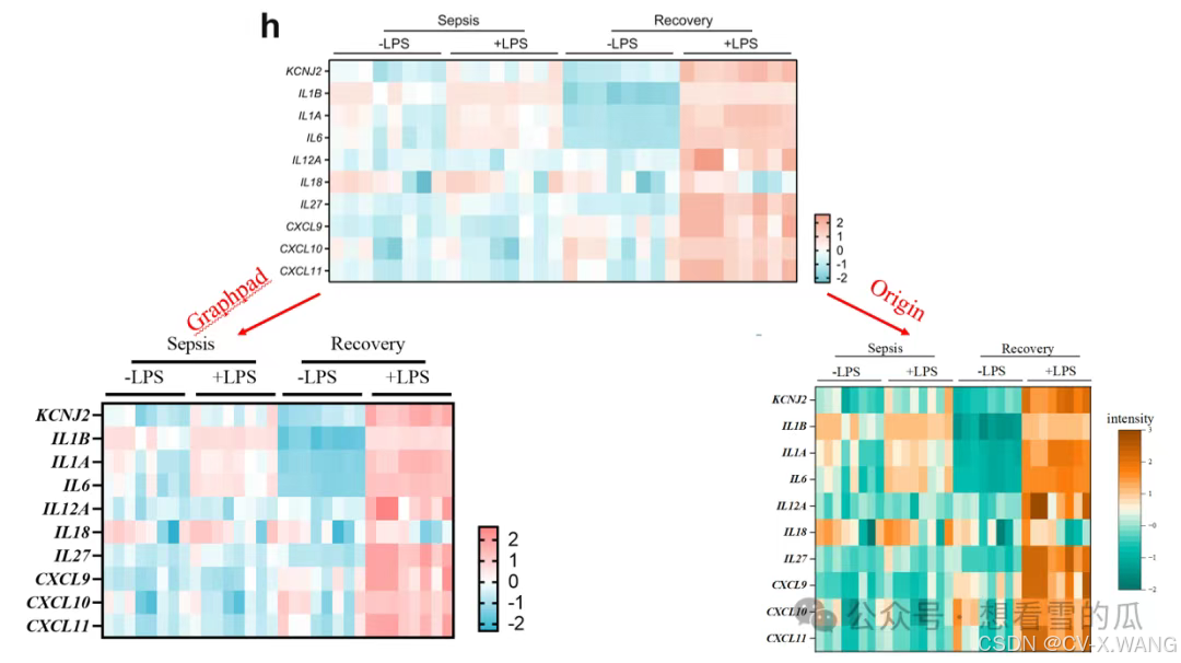 【OriginPro2024】绘制热力图Heatmap_origin如何绘制heatmap-CSDN博客