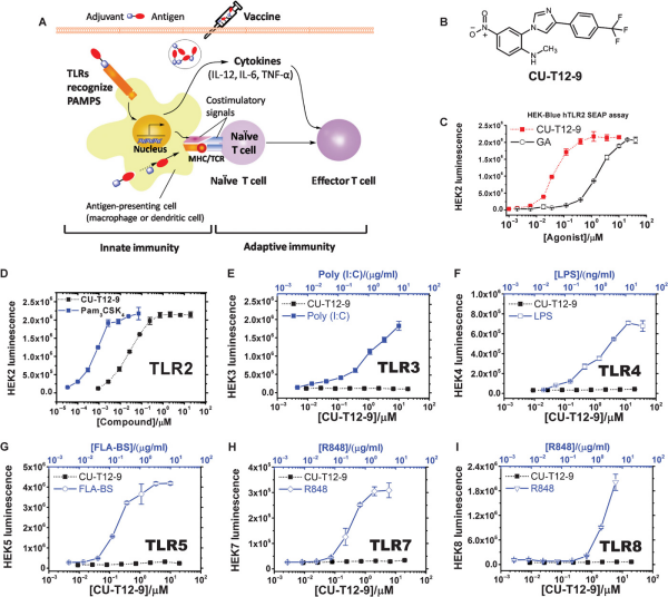 AbMole丨综述：免疫调控的关键靶点--Toll样受体（TLR），及其常用抑制剂/激动剂全解析-CSDN博客