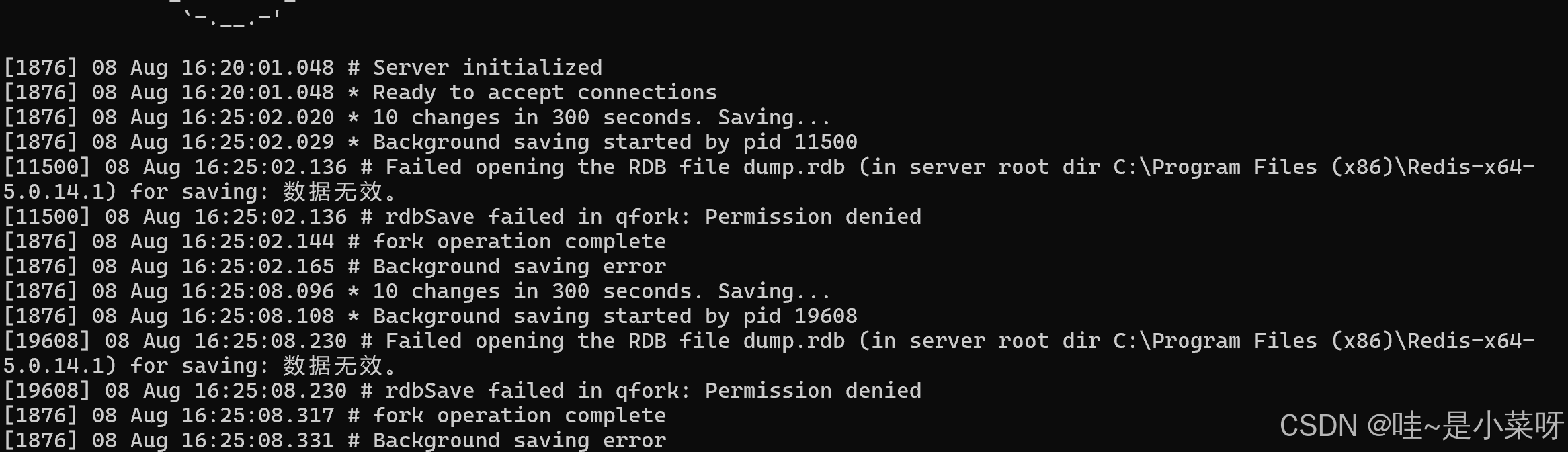 【Windows安装redis遇到的巨坑】rdbSave failed in qfork: Permission denied-CSDN博客