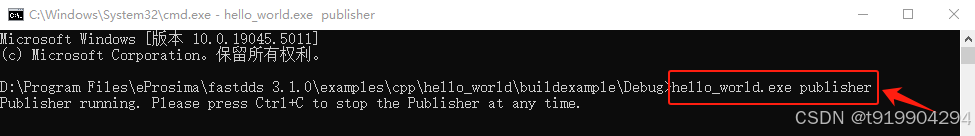 Windows环境下运行fastdds demo-CSDN博客