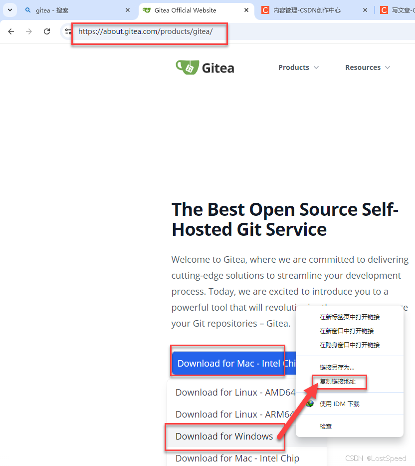 git - gitea操作整理_gitea app.ini-CSDN博客