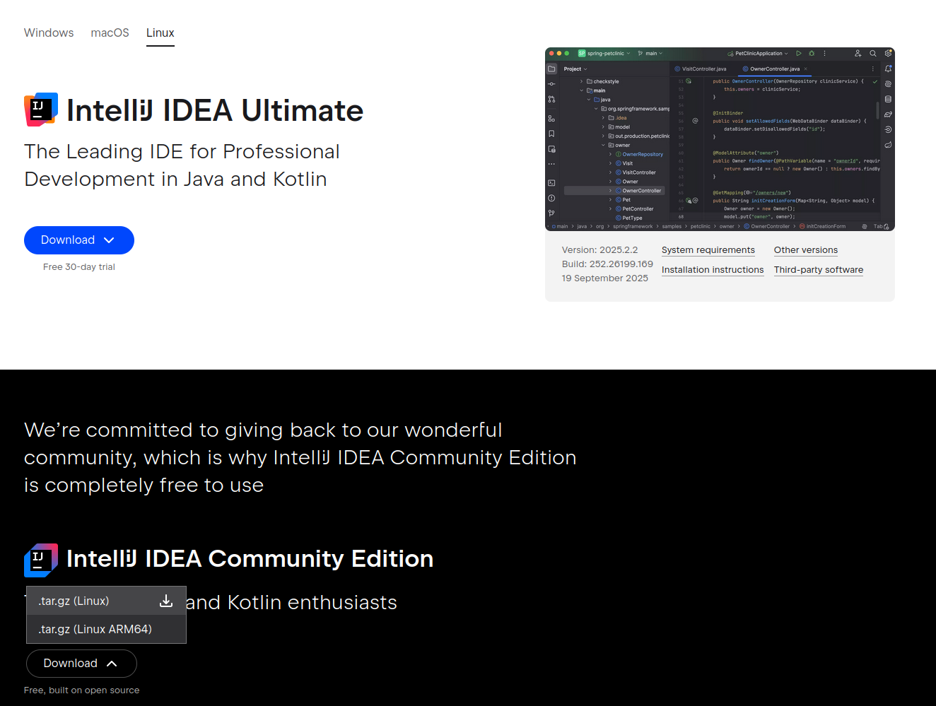 Linux下安装IntelliJ IDEA全攻略_idea linux版本-CSDN博客