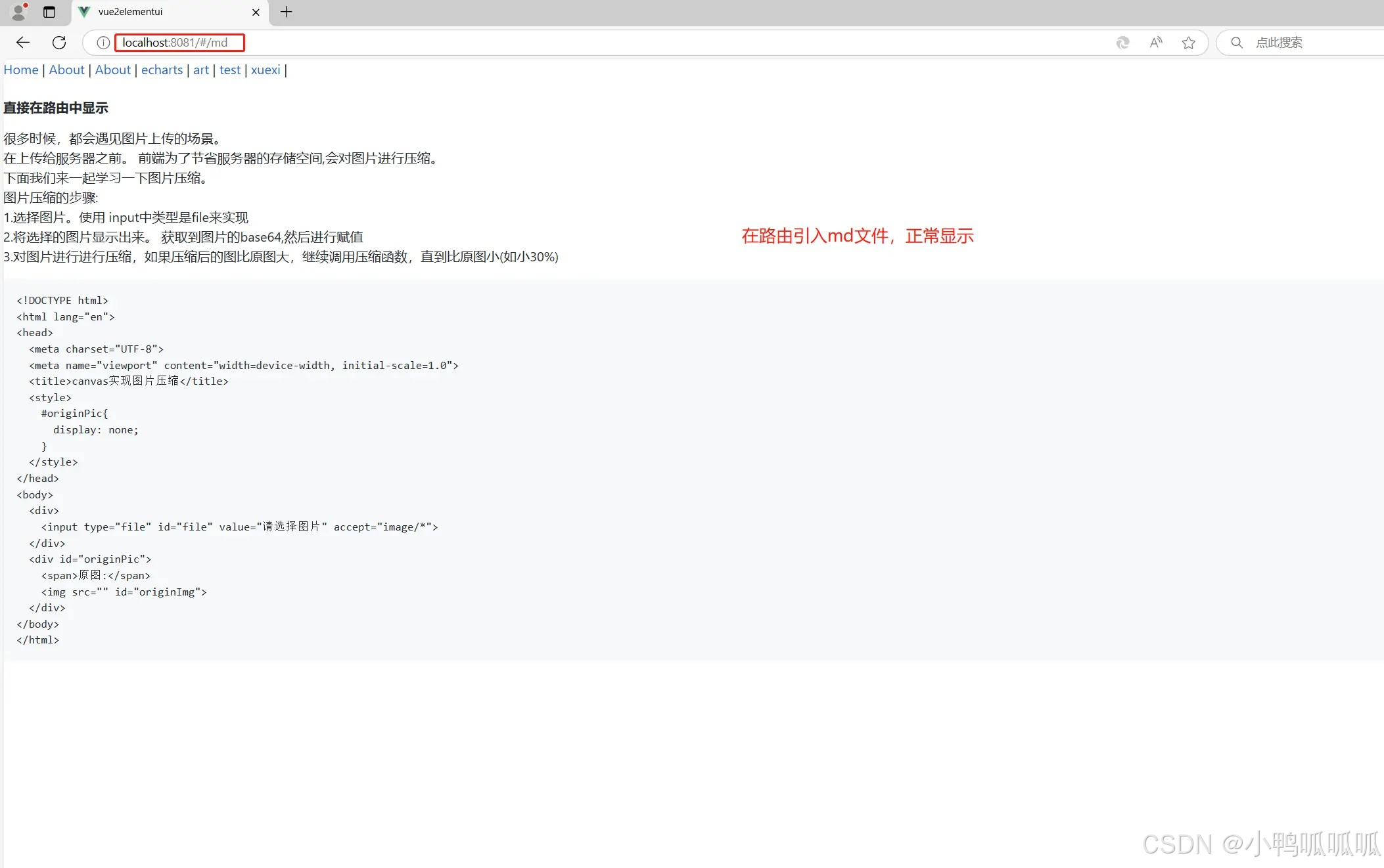 vue项目中如何加载markdown作为组件_vue-markdown-loader-CSDN博客