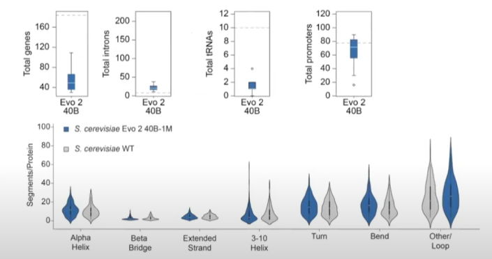 Evo2 论文讲解_基因 模型 evo2-CSDN博客