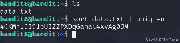 OverTheWire系列----Bandit（0~11）_bandit等级0怎么弄-CSDN博客