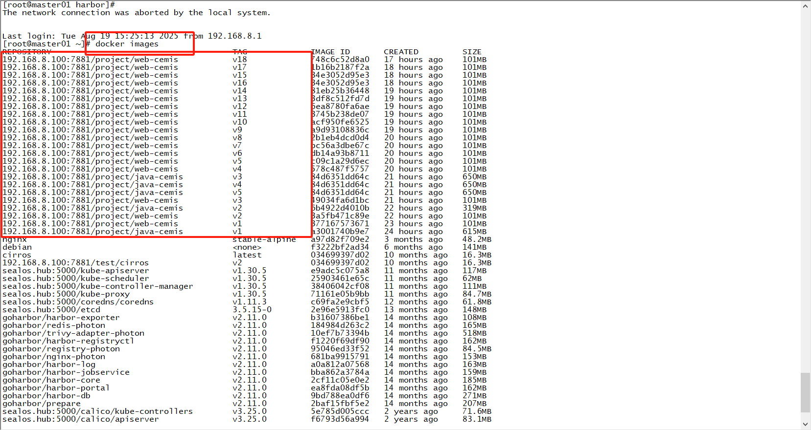 从0到1，使用Sealos搭建K8S集群，并成功部署SpringBoot、Vue2项目-CSDN博客
