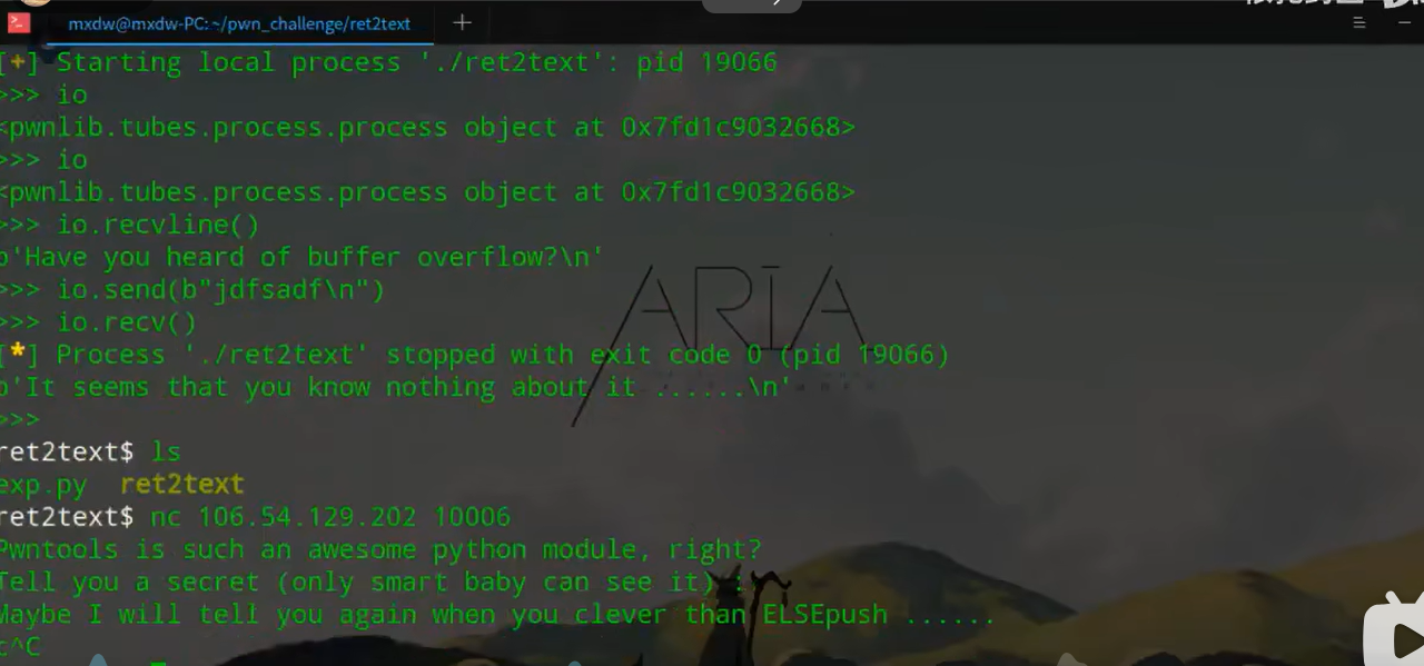 B站 XMCVE Pwn入门课程学习笔记（2）_xmcve 2020 ctf pwn入门课程 赛题文件-CSDN博客
